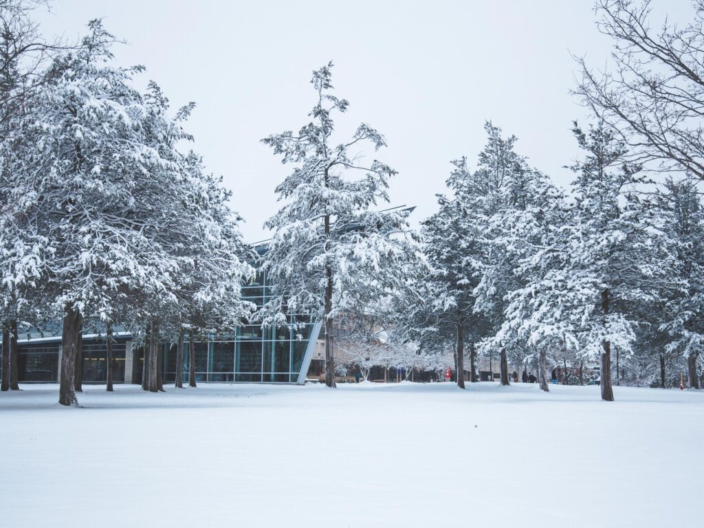 Inclement weather - Loyalist College